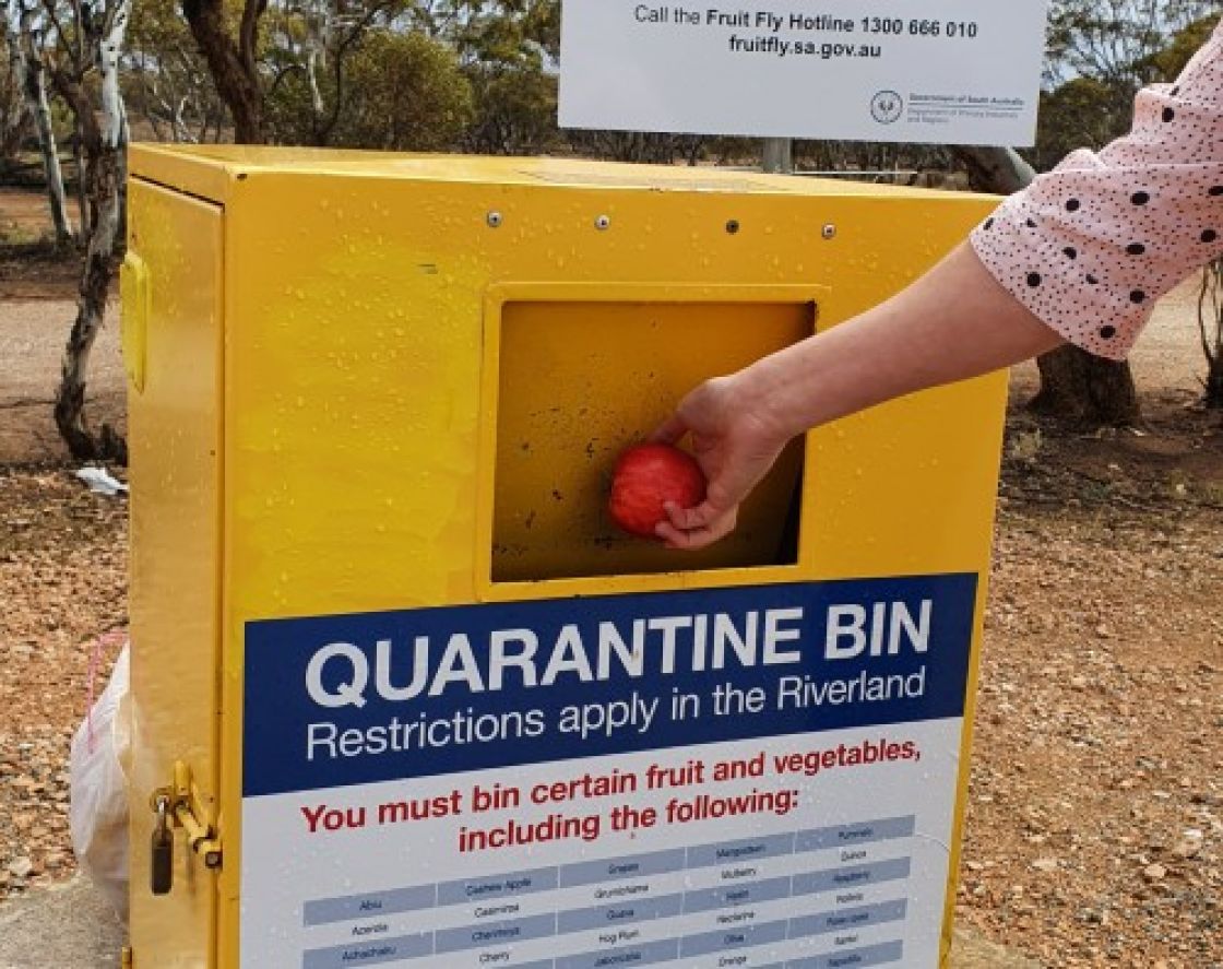 Before you hit the road, eat it or bin it! - PIRSA