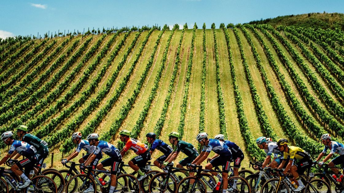 No free rides for fruit fly during Tour Down Under - PIRSA